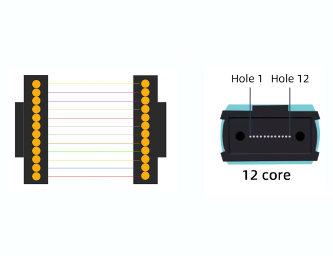 What is an MPO-12 Connector - TTI Fiber